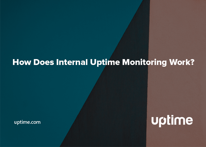 How Does Internal Uptime Monitoring Work?